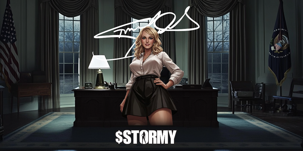 The Official Stormy Meme